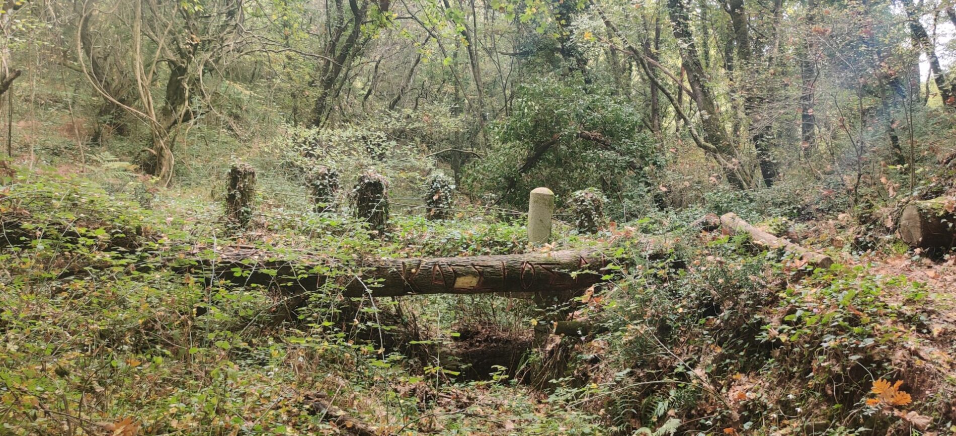 Hiking Experiences in North East Corfu